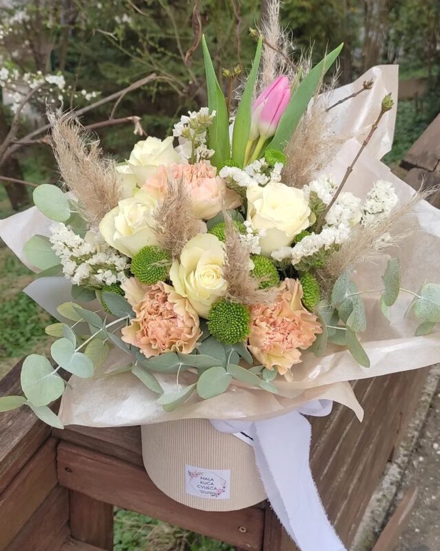 Ponude Archive - Pravi Lider