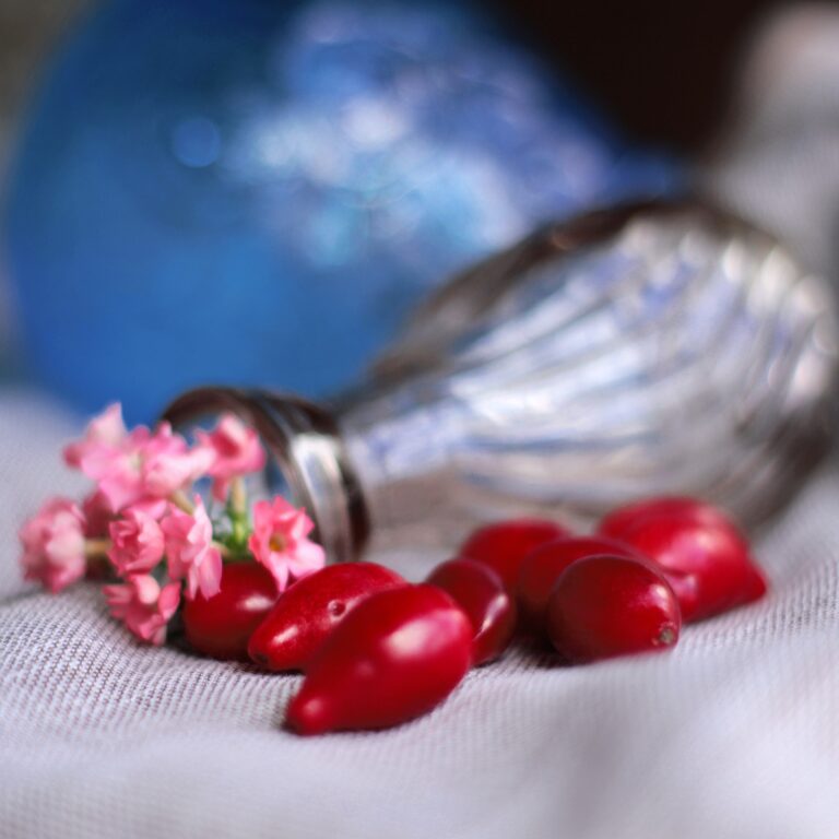 Ljekovito Bilje - Drenjak